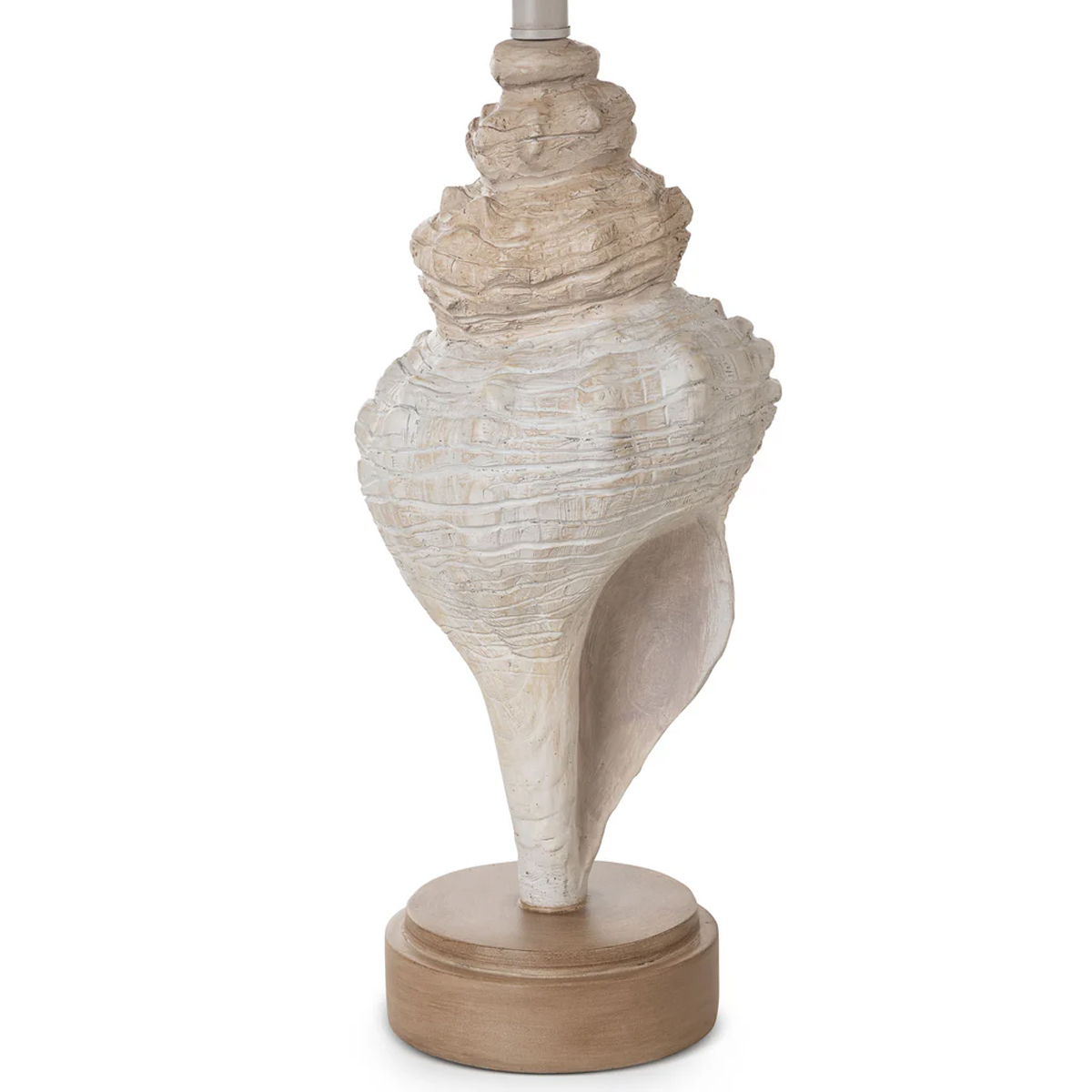 SEASHELL BASE COASTAL LAMP by Seawinds Trading Co | Lifestyle Furniture ...